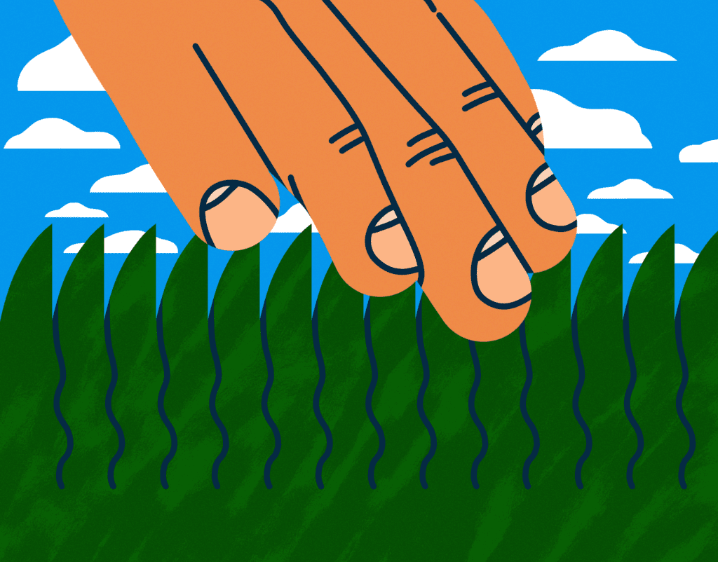 Touching Grass With SLOs Internal SLOs Honeycomb